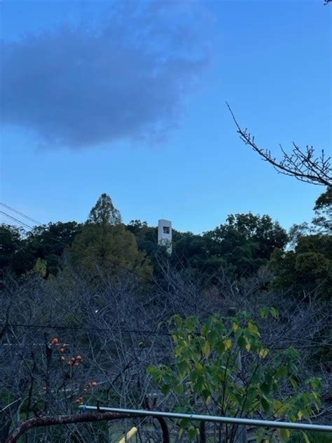大阪府社会福祉職採用試験実施！｜大阪府立修徳学院（大阪府の児童自立支援施設） チャボナビ