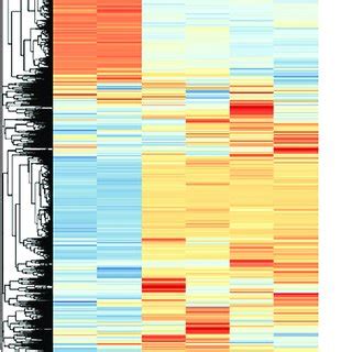 Hierarchical Clustering Of Gene Expression Profiles Hierarchical
