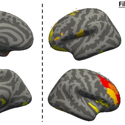 Regions Implicated By The Two Most Commonly Learned Convolutional
