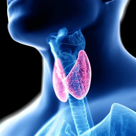 Is Iodine Deficiency Inherited The Lucy Rose Clinic