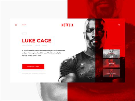 Netflix Web Development Design Web Design Business Website Design