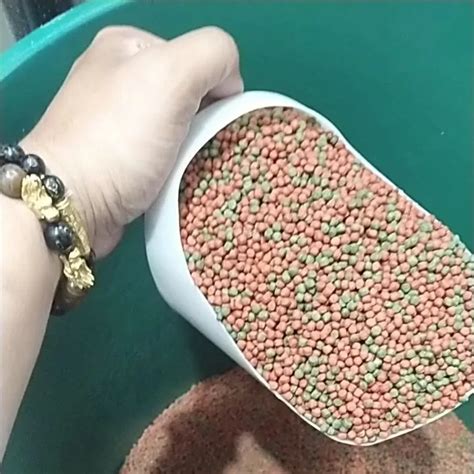 1kg Medium Floating Pellet Lazada Ph