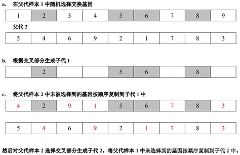 Tsp问题使用遗传算法求解以及python代码 Csdn博客