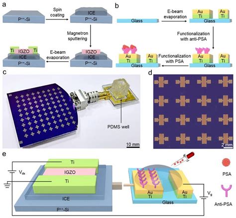 Construction Of Igzo Transistor Based Biosensor For Psa Detection