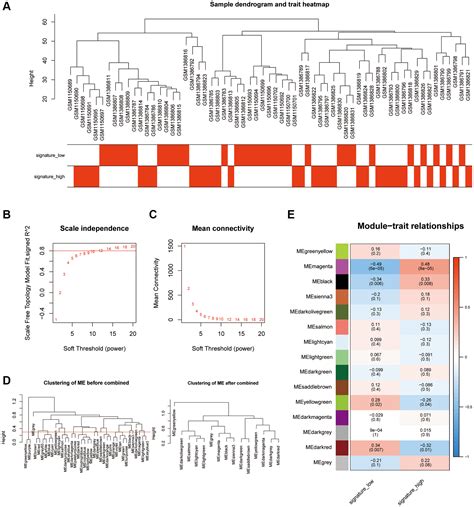 Integrated Analysis Of Bulk RNA Seq And Single Cell RNA Seq Reveals The