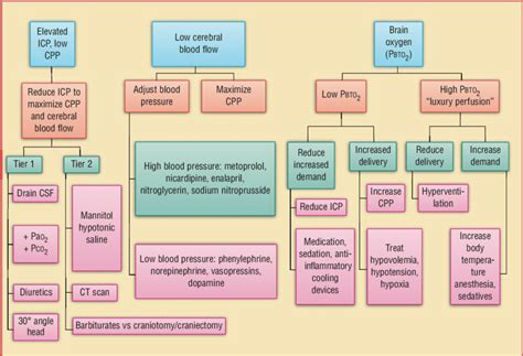 Flow Chart Of Hemodynamic Related Therapy Integrates The Possible