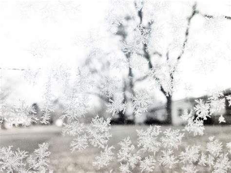 Frosty morn. | A touch of frost, Snow and ice, Frosty
