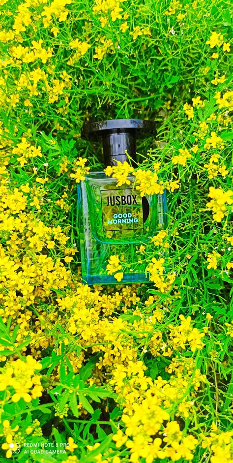 Good Morning Jusbox perfume - a new fragrance for women and men 2022