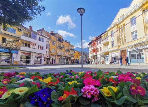 Учебен център за водачи на МПС към ПГ по МССПейо Кр Яворов гр Гоце Учебен център за