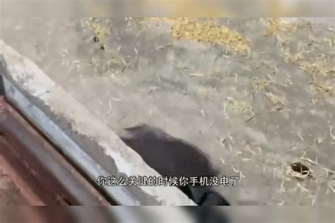 搞笑视频：都给榜一大哥点点关注
