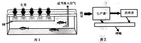 下列三组数字为果蝇精原细胞进行减数分裂时 染色体和姐妹染色单体及 Dna 在各期的变化数据 请分析回答下列问题 精原细胞 初级精母细胞 次级