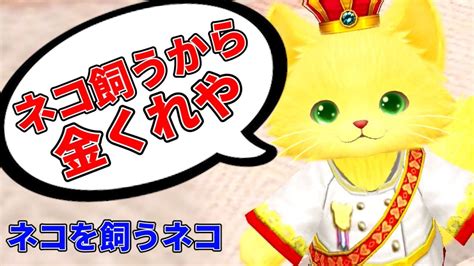 ネコ飼いたい 」と金銭を要求してくるネコ Youtube
