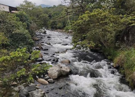 Declaran Alerta Roja En El Río Pance Tras Fuertes Lluvias En El Sur De