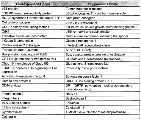 Oncogene Proteins Oncogene Products Oncoproteins