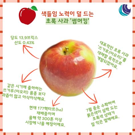 기후 변화로 새롭게 주목받는 초록 사과와 노란 사과썸머킹 골든볼 농식품정보