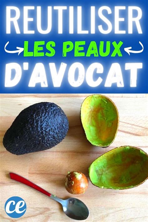 3 Bonnes Raisons De Ne Plus Jamais Jeter Les Peaux D Avocat Artofit