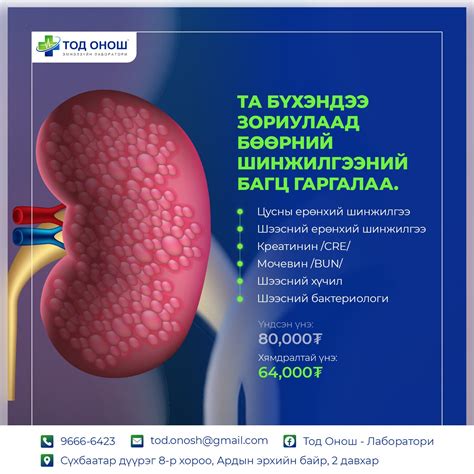 Тод Онош Лаборатори 👩🏻‍⚕️ Бөөрний үйл ажиллагаа хэвийн байгаа