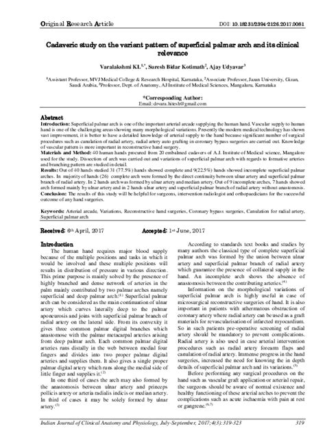 Pdf Variant Patterns Of Superficial Palmar Arch Clinical Insights