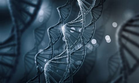 How Much Does Genetic Testing Cost Knowyourdna