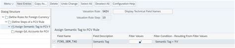 Advanced Foreign Currency Valuation In S 4hana Clo Sap Community