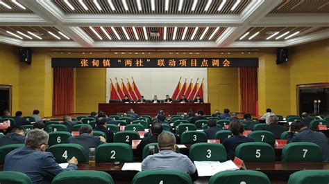 泰州姜堰张甸镇：“联”出项目潜力 巧答共富命题联动集体资源