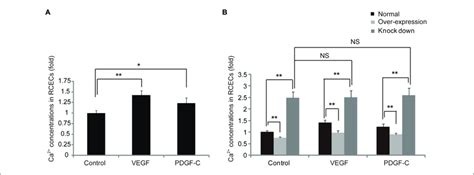 Jam C Decreases Cytosolic Ca 2 Concentrations In Human Rcecs