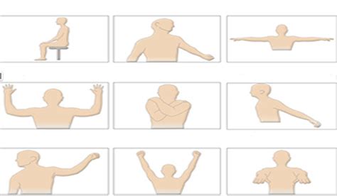 Arterial Ppt New Flashcards Quizlet
