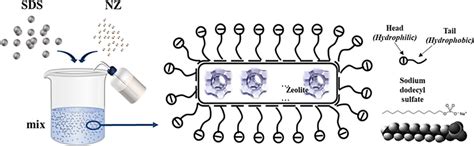 Flow Chart For Preparation Of Sds Nz Download Scientific Diagram