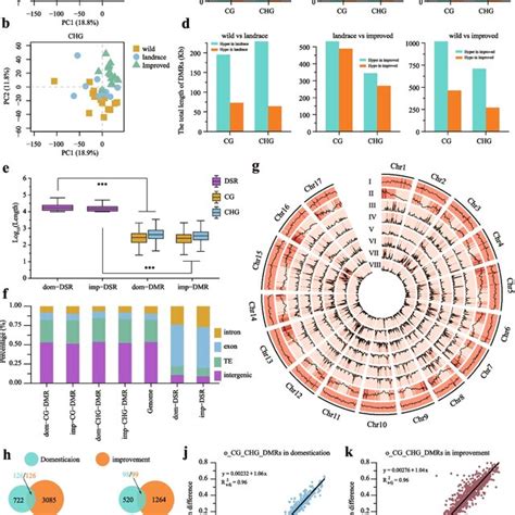 Comparisons Of Differentially Methylated Regions Dmrs In The Wild Vs Download Scientific