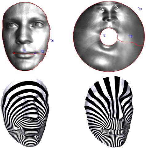 Figure 1 From Conformal Mapping Based 3d Face Recognition Semantic Scholar