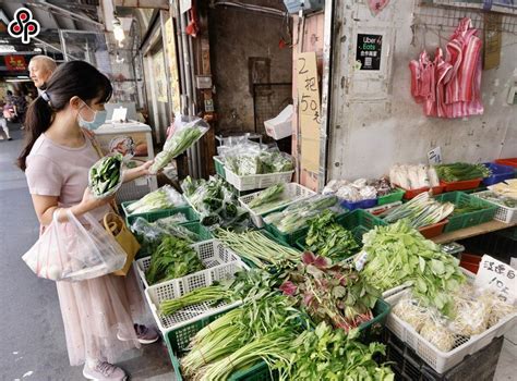 菜價略跌至511元仍在高點 農業部估9月中旬才會回穩 生活 中時