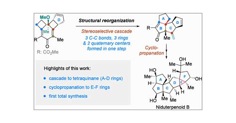 Total Synthesis Of The Hexacyclic Sesterterpenoid Niduterpenoid B Via