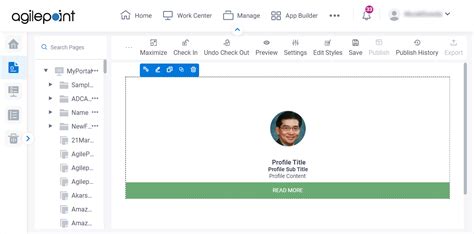 Example Profile Card Widget In Page Builder