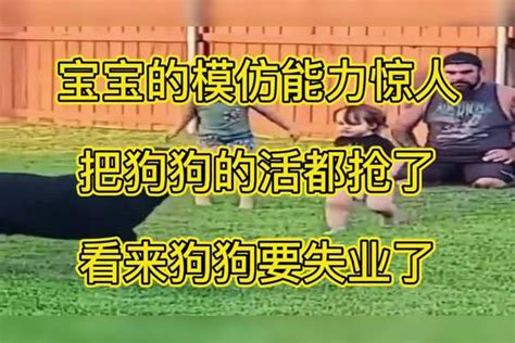 宝宝的模仿能力惊人，把狗狗的活都抢了，看来狗狗要失业了狗狗失业能力