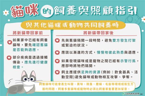 貓隻飼養與照顧指南 建立飼主正確飼養觀念農業 僑務電子報