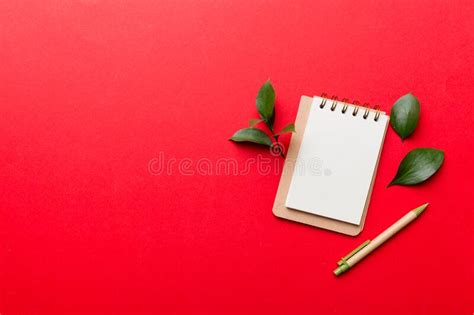 Eco Friendly Empty Notebook With Pen And Green Leaf On Colored