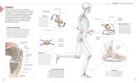 Science Of Running Chris Napier Q A DK US