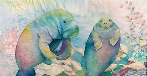 Oh The Hue Manatee Imgur