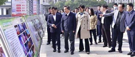 新北区人大代表开展集中视察活动江苏省