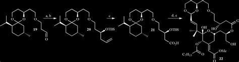 A Convergent Synthesis Of Analog 22 Download Scientific Diagram