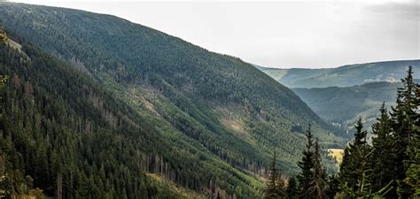 녹색 슬로프와 언덕의 전망입니다 여름 날에 산 풍경입니다 여름 산에서 엽서나 달력에 대 한 아름 다운 파노라마입니다 0명에 대한 스톡 사진 및 기타 이미지 Istock