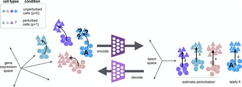 Scgen Documentation — Scgen