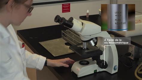 Utilisation Des Microscopes Optiques Youtube