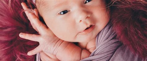 IMSI IVF Intracytoplasmic Morphologically Selected Sperm Injection