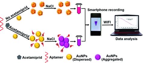 Schematic Illustration Of Instrument Free Visual Method For Acetamiprid Download Scientific