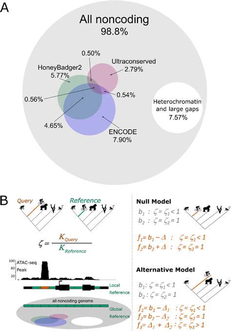 overlaps between functional regions of the human genome and the