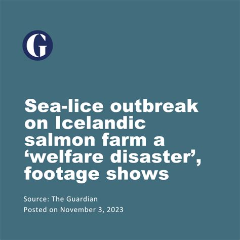 Devastating Sea Lice Outbreak On Mowi Owned Salmon Farm Wild First
