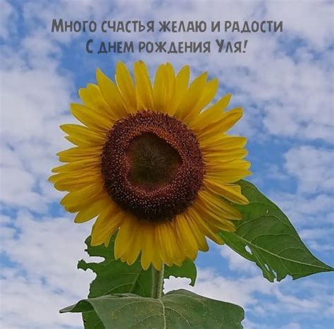 Много счастья желаю и радости С днем рождения Уля