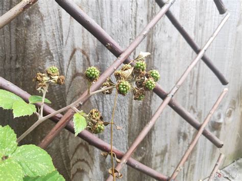 Oppo Find X Review One Of S Tastiest Phones