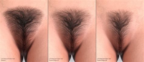 Li El Natural Pubic Hair For The Genesis 9 Female Anatomy Daz 3d